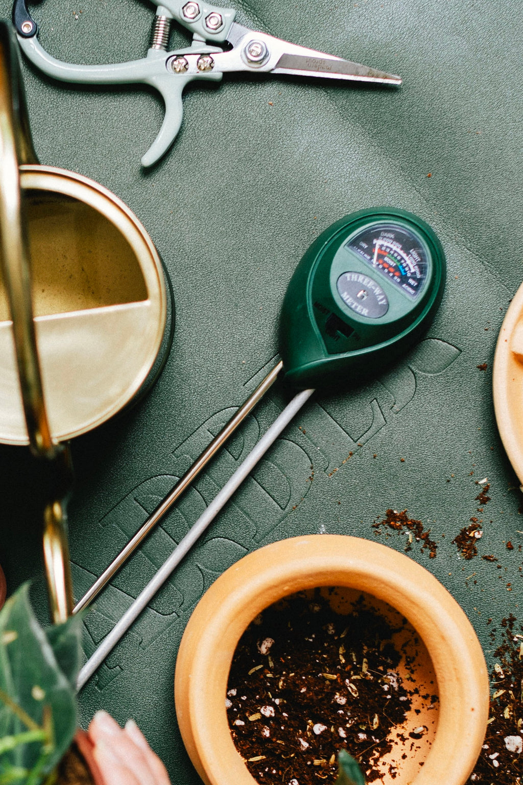 3-in-1 Moisture Meter – Green Rabbit